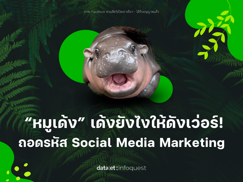 “หมูเด้ง” เด้งยังไงให้ดังเว่อร์! ถอดรหัส Social Media Marketing - Creative Econ เว็บไซต์เศรษฐกิจ ...